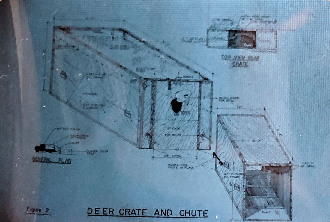 Inside the Archives: Homer Pickens – Los Alamos Historical Society